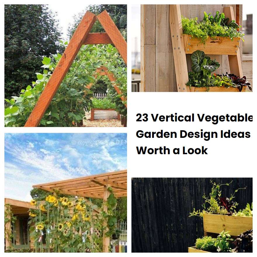 23 Vertical Vegetable Garden Design Ideas Worth a Look | SharonSable
