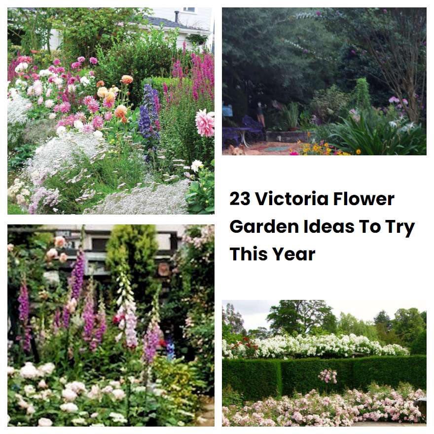 23 Victoria Flower Garden Ideas To Try This Year | SharonSable