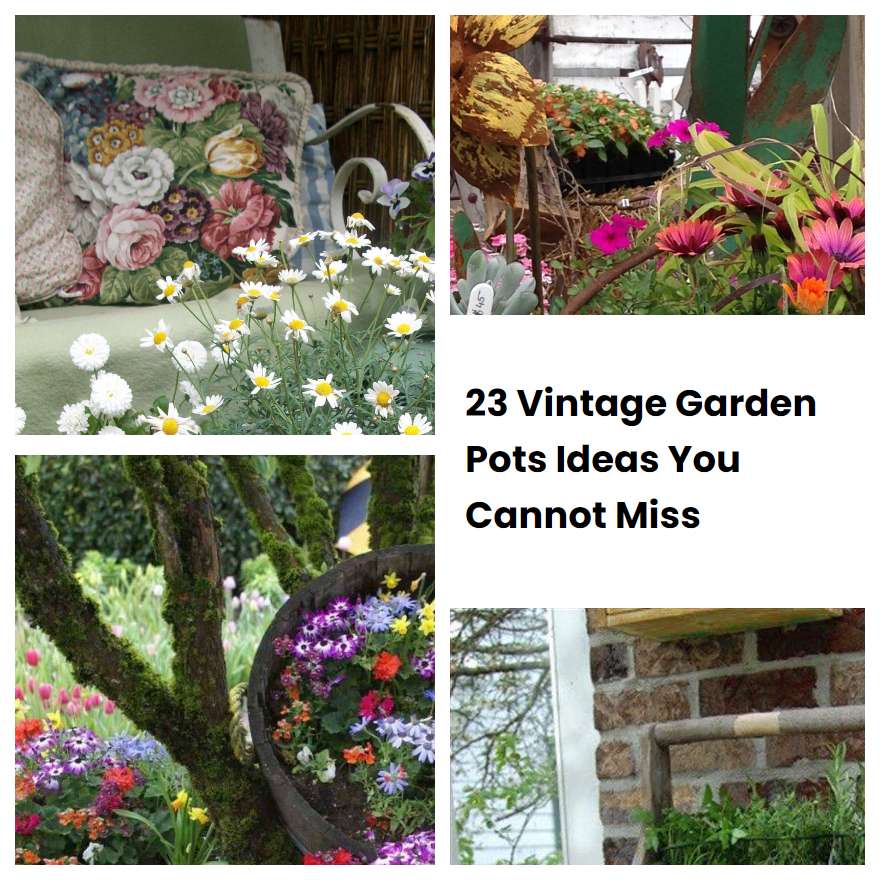 23 Vintage Garden Pots Ideas You Cannot Miss | SharonSable