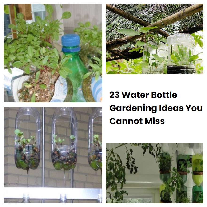 23 Water Bottle Gardening Ideas You Cannot Miss | SharonSable