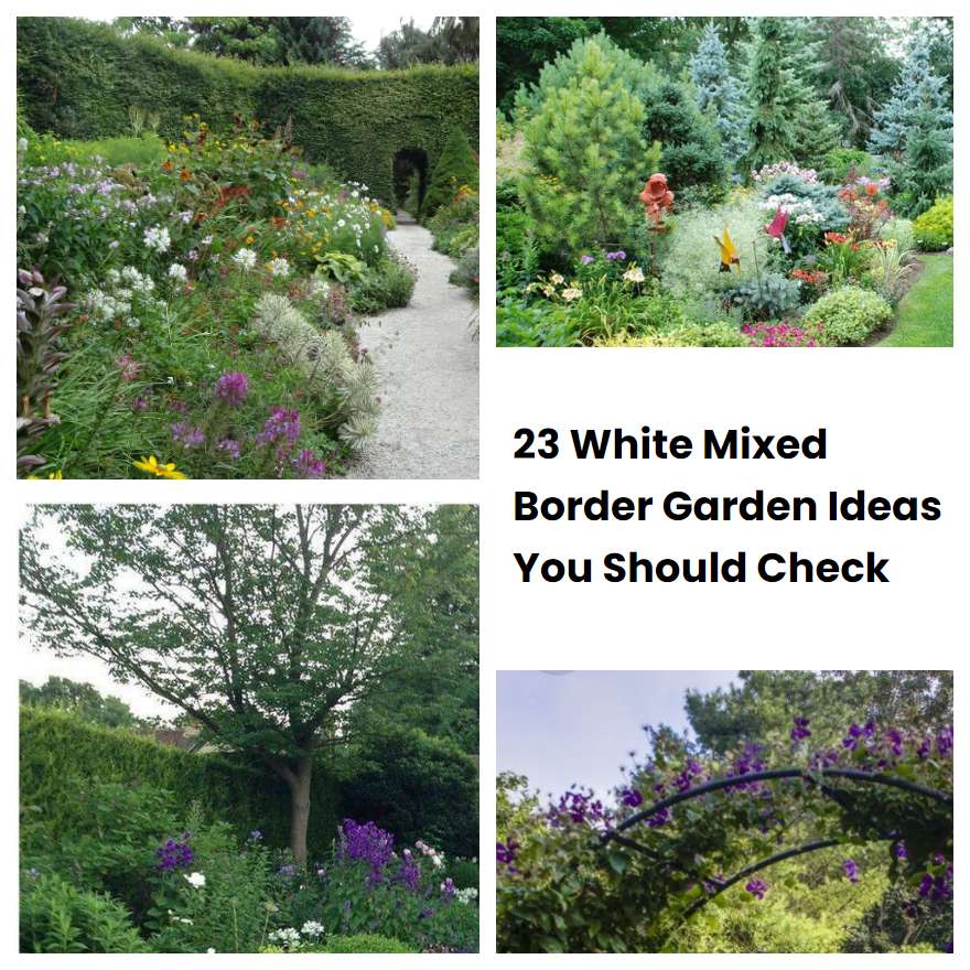 23 White Mixed Border Garden Ideas You Should Check | SharonSable