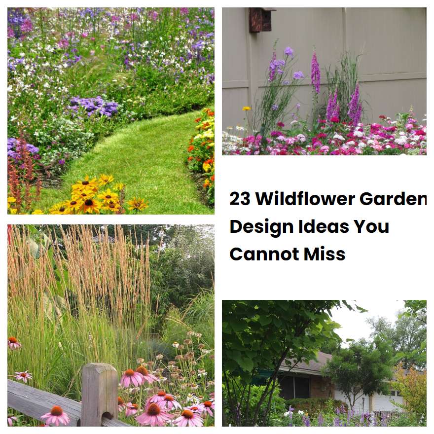 23 Wildflower Garden Design Ideas You Cannot Miss | SharonSable