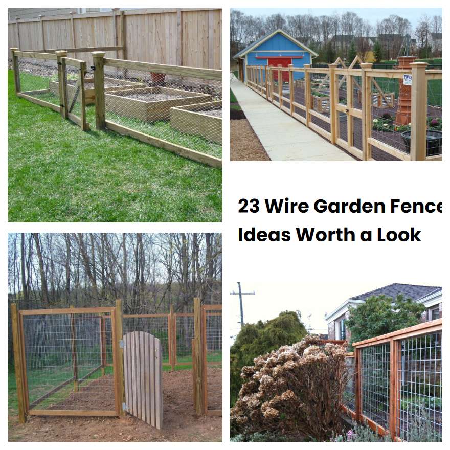 23 Wire Garden Fence Ideas Worth a Look | SharonSable