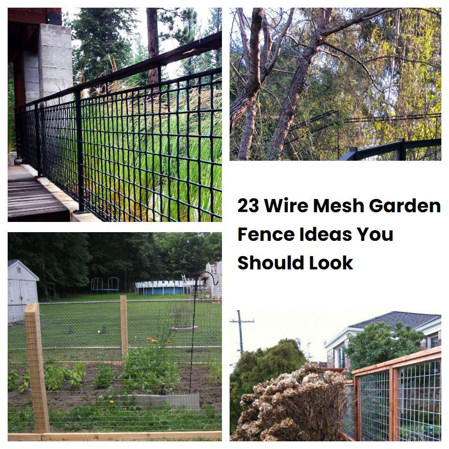 23 Wire Mesh Garden Fence Ideas You Should Look | SharonSable