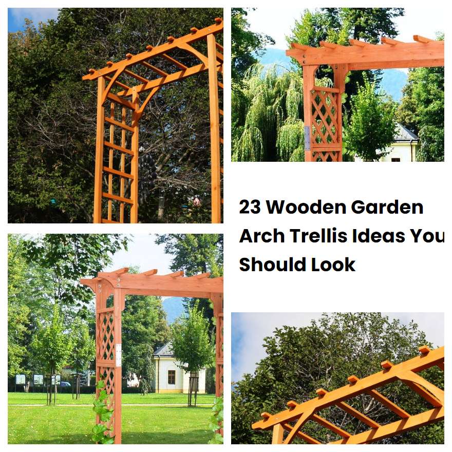 23 Wooden Garden Arch Trellis Ideas You Should Look | SharonSable