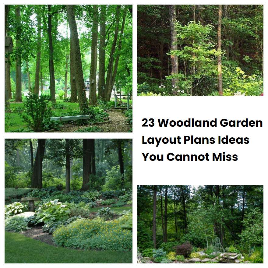 23 Woodland Garden Layout Plans Ideas You Cannot Miss | SharonSable 23 Woodland Garden Layout Plans Ideas You Cannot Miss | SharonSable