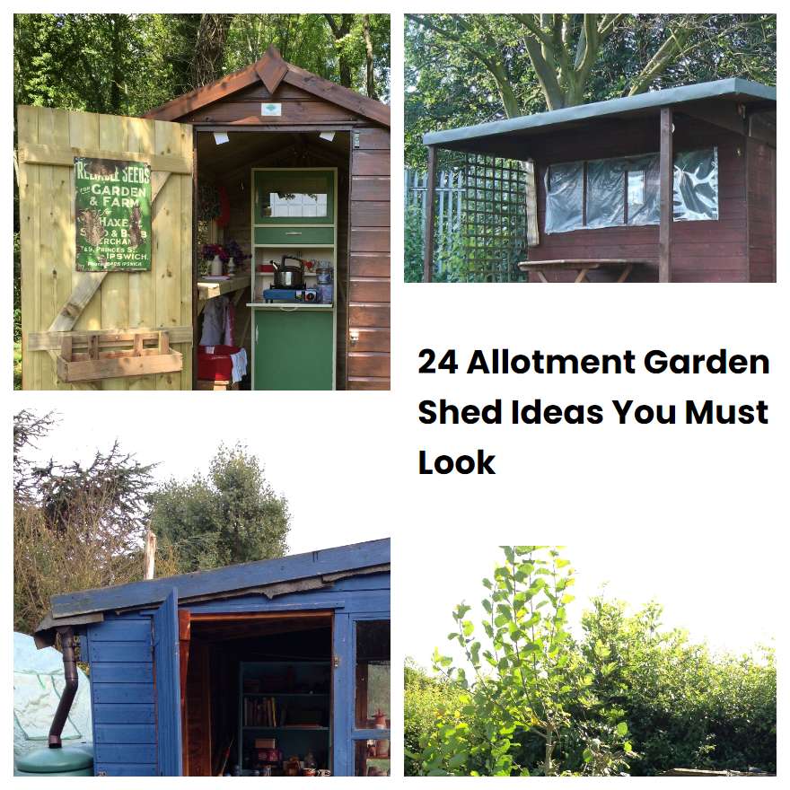 24 Allotment Garden Shed Ideas You Must Look | SharonSable