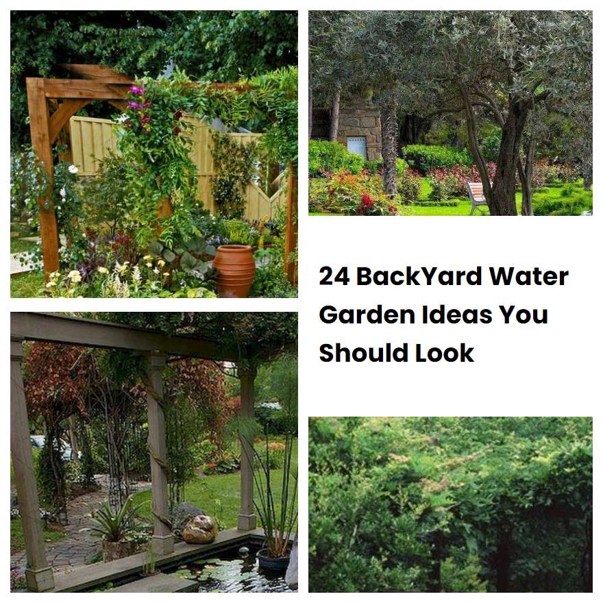 24 BackYard Water Garden Ideas You Should Look | SharonSable