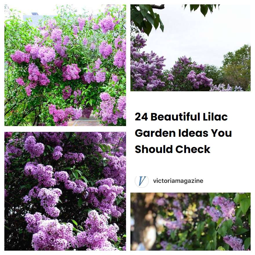 24 Beautiful Lilac Garden Ideas You Should Check | SharonSable