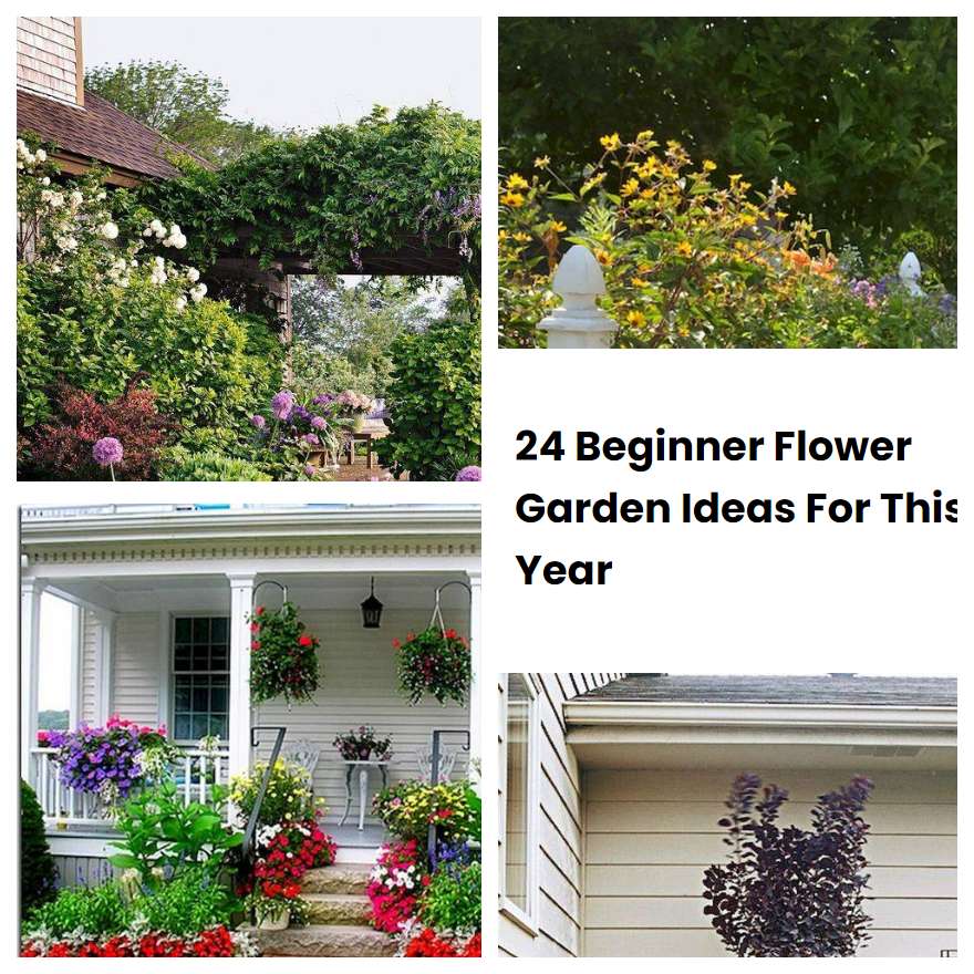 24 Beginner Flower Garden Ideas For This Year | SharonSable