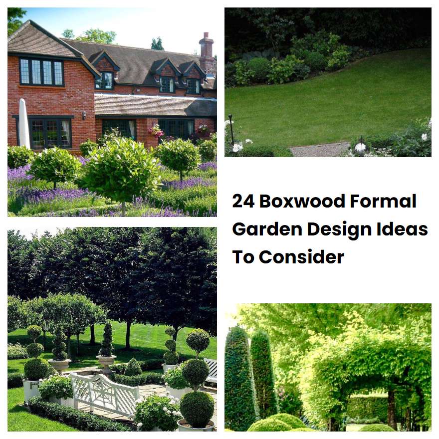 24 Boxwood Formal Garden Design Ideas To Consider | SharonSable