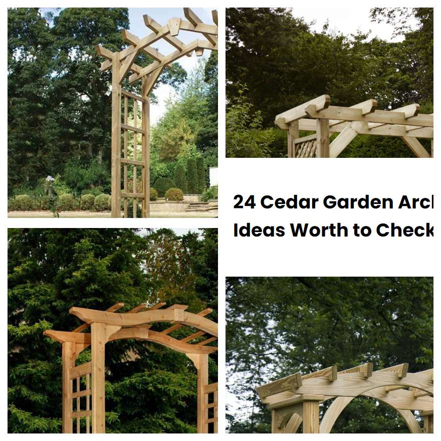 24 Cedar Garden Arch Ideas Worth to Check | SharonSable