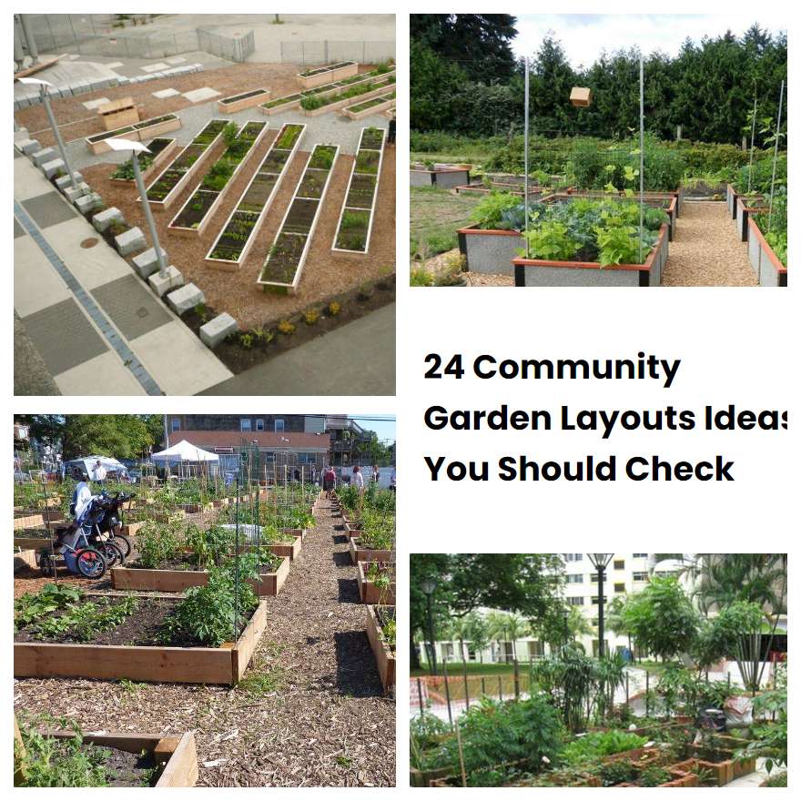 24 Community Garden Layouts Ideas You Should Check | SharonSable