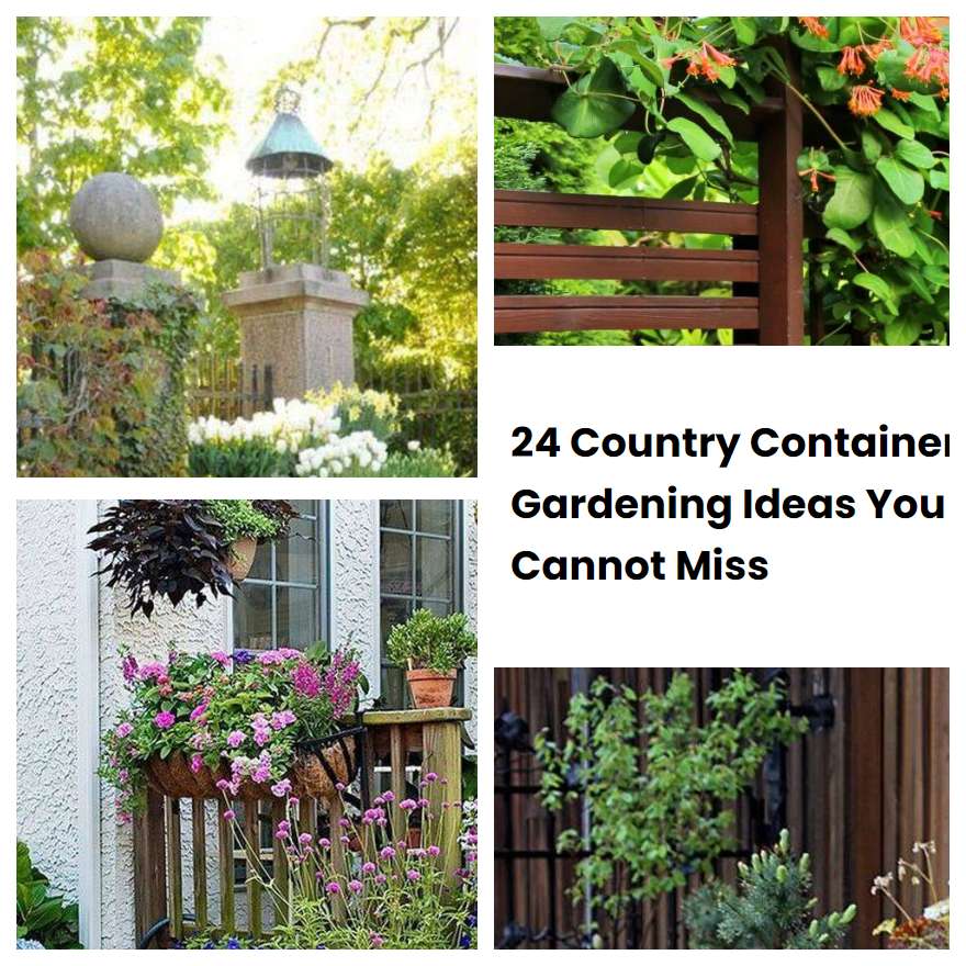 24 Country Container Gardening Ideas You Cannot Miss | SharonSable