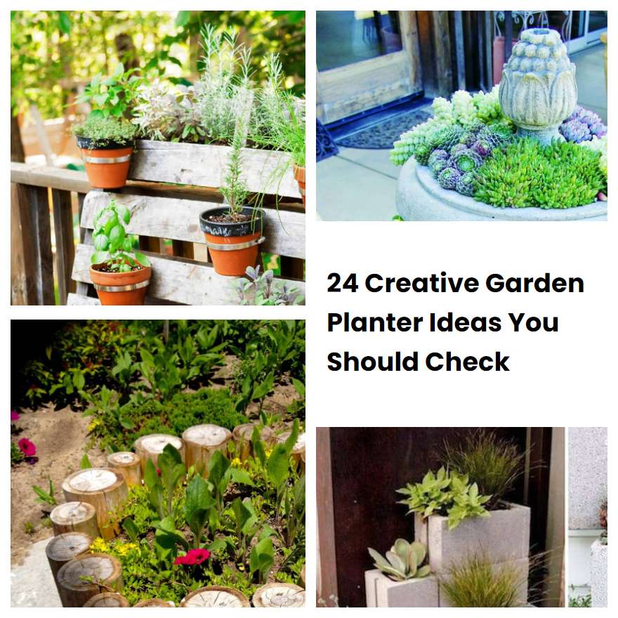 24 Creative Garden Planter Ideas You Should Check | SharonSable