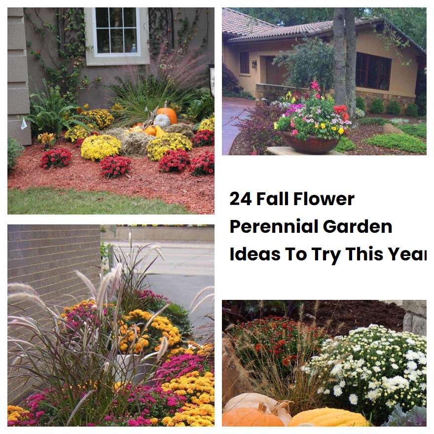 24 Fall Flower Perennial Garden Ideas To Try This Year | SharonSable