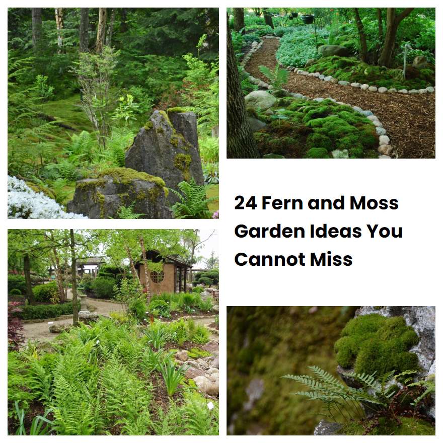 24 Fern and Moss Garden Ideas You Cannot Miss | SharonSable