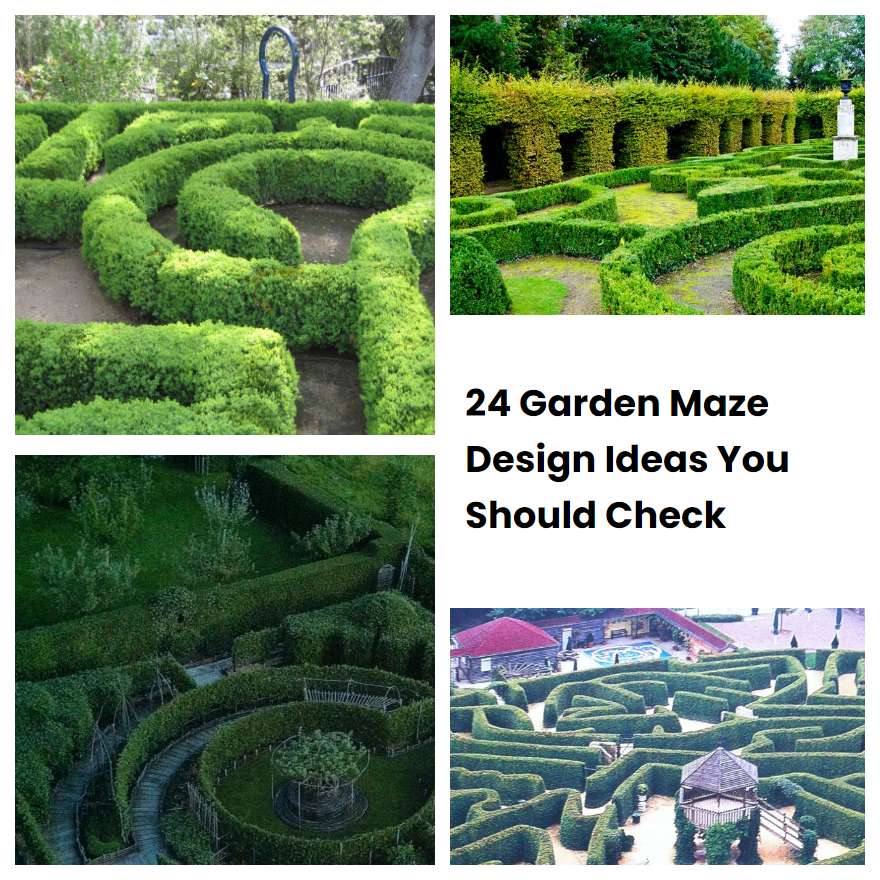 24 Garden Maze Design Ideas You Should Check | SharonSable