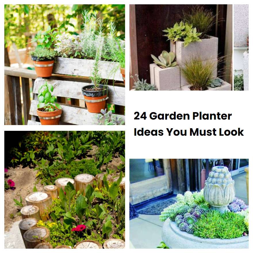 24 Garden Planter Ideas You Must Look | SharonSable