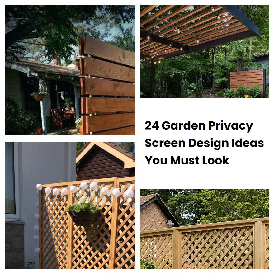 24 Garden Privacy Screen Design Ideas You Must Look | SharonSable