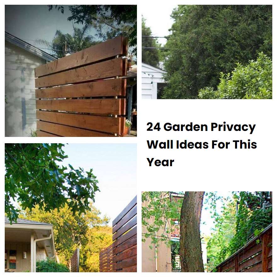 24 Garden Privacy Wall Ideas For This Year | SharonSable