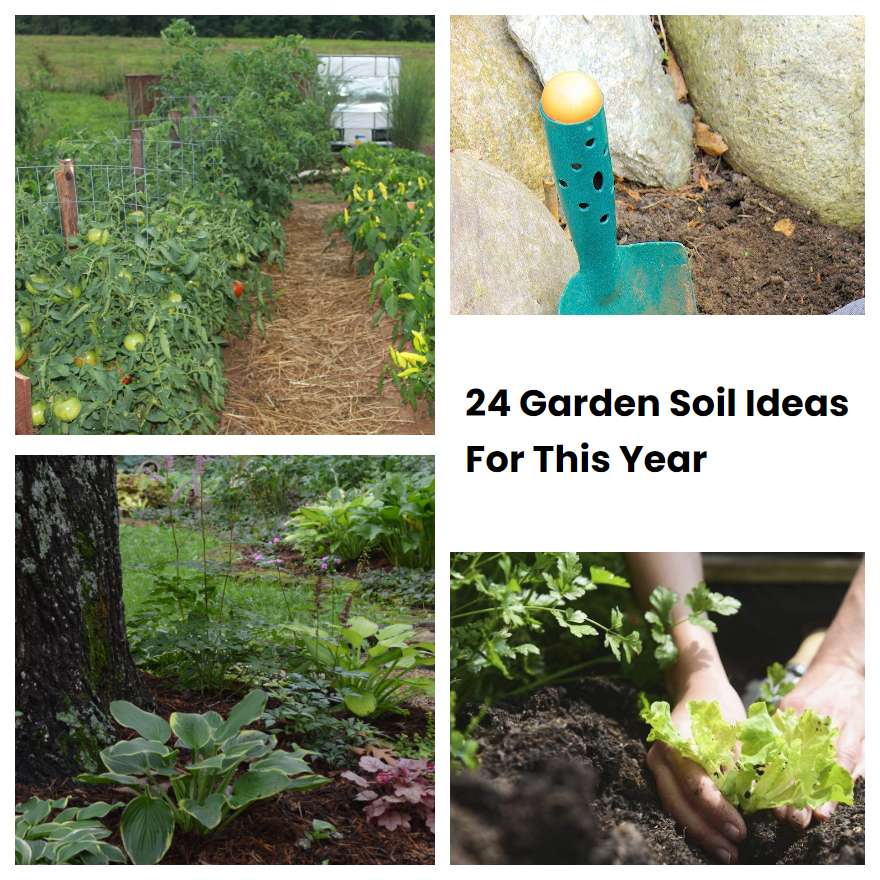 24 Garden Soil Ideas For This Year | SharonSable