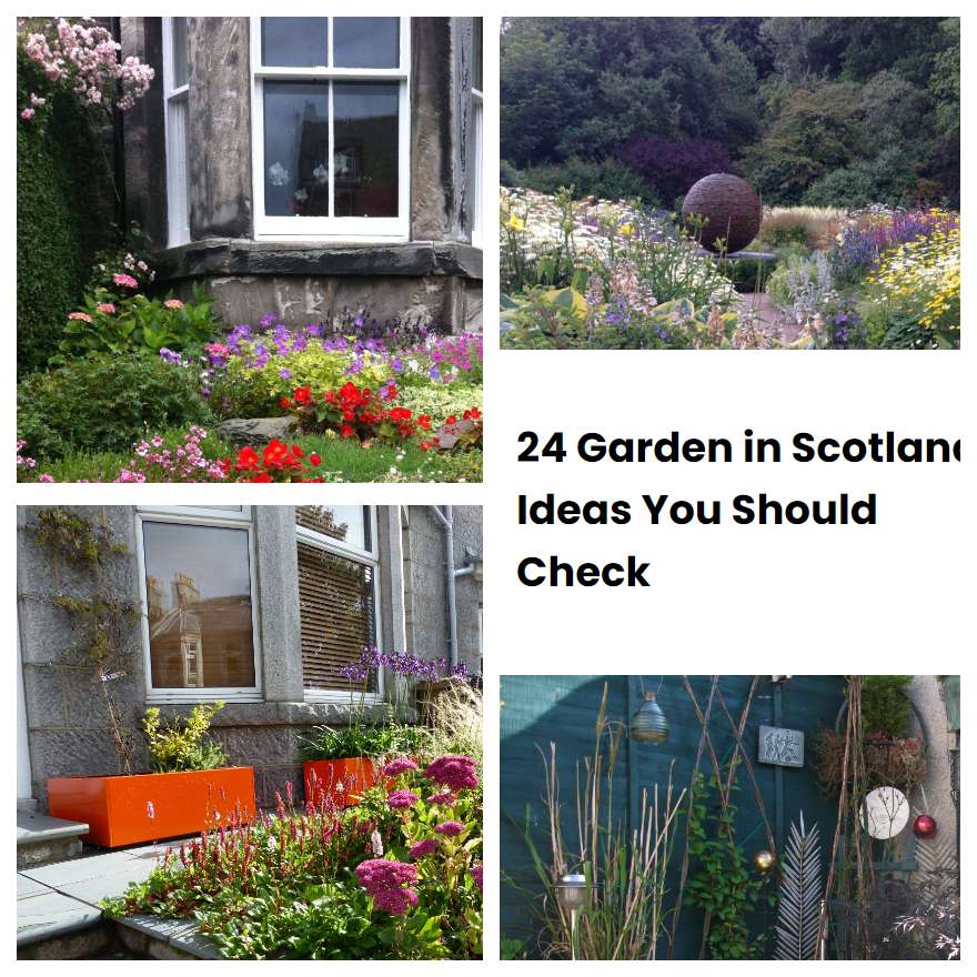 24 Garden in Scotland Ideas You Should Check | SharonSable