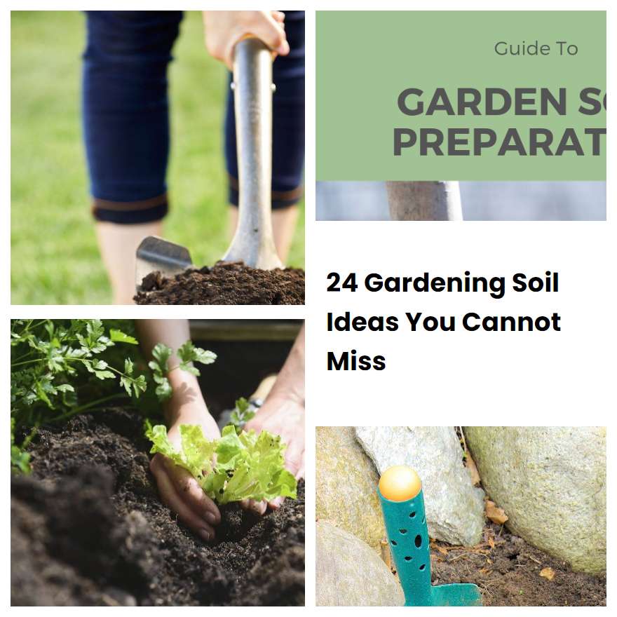 24 Gardening Soil Ideas You Cannot Miss | SharonSable