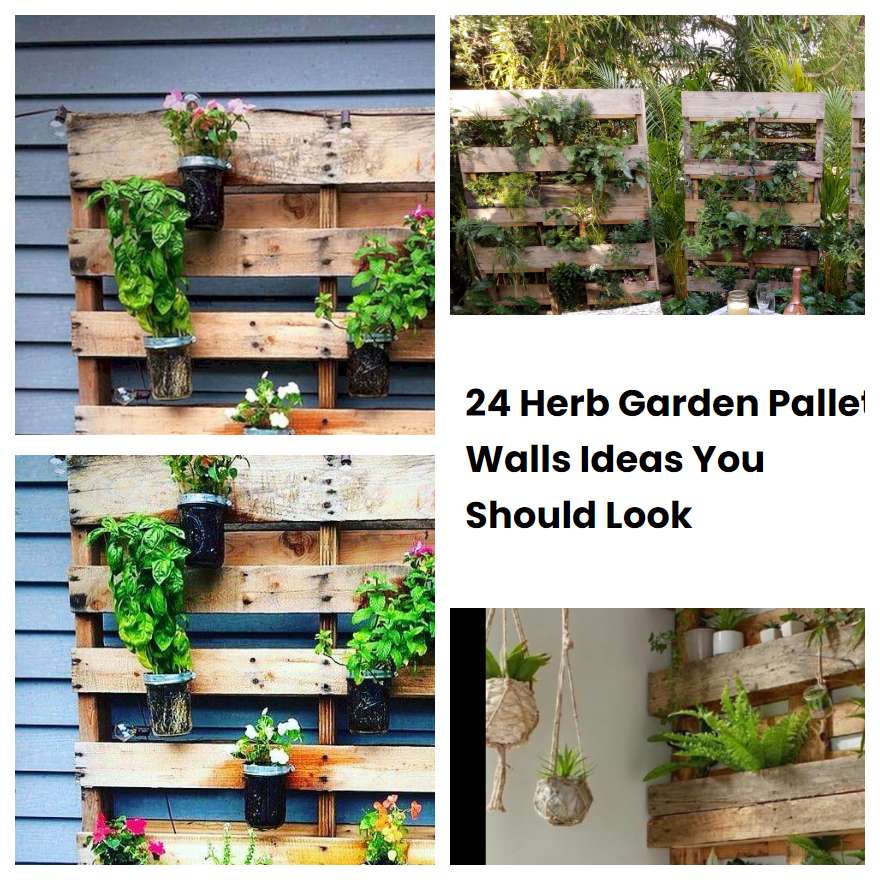 24 Herb Garden Pallet Walls Ideas You Should Look | SharonSable