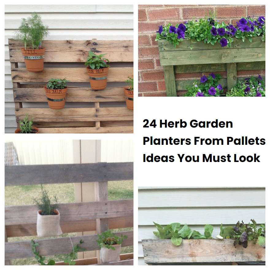 24 Herb Garden Planters From Pallets Ideas You Must Look | SharonSable