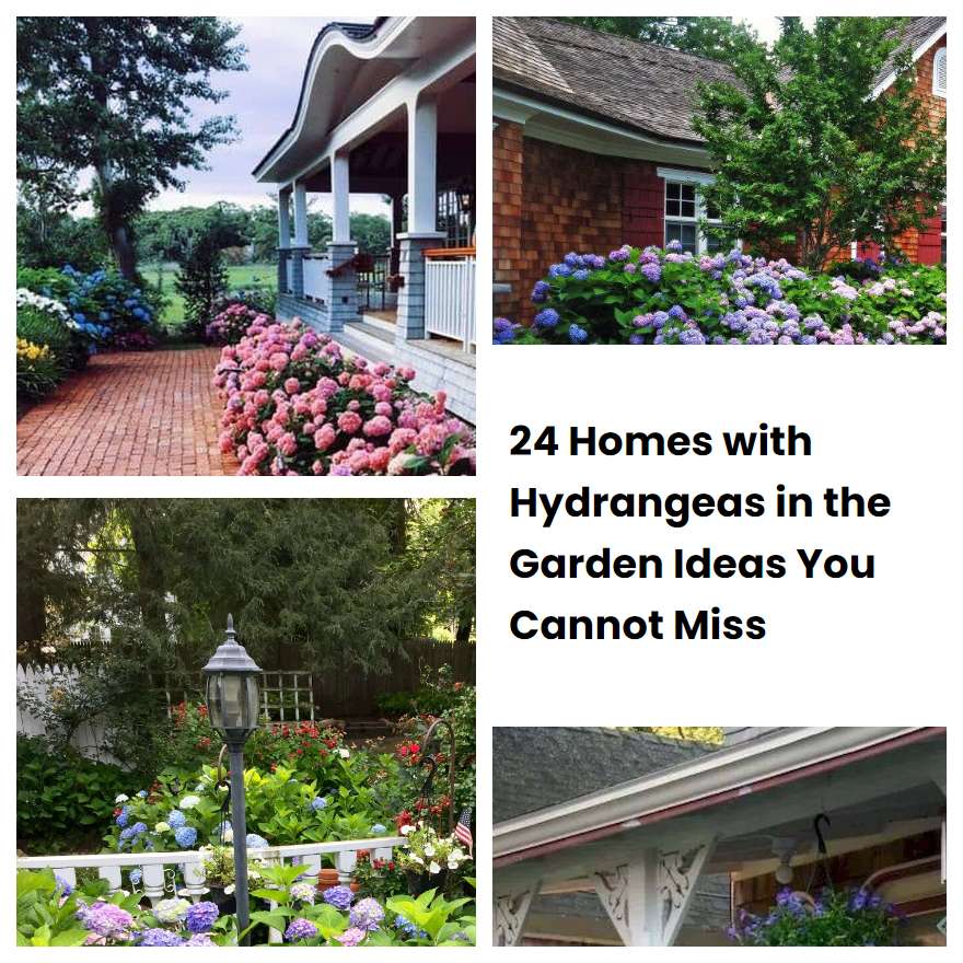 24 Homes with Hydrangeas in the Garden Ideas You Cannot Miss | SharonSable