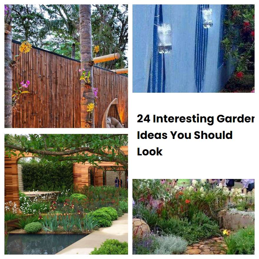 24 Interesting Garden Ideas You Should Look Sharonsable