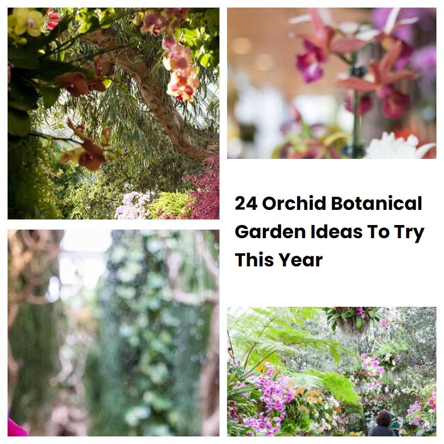 24 Orchid Botanical Garden Ideas To Try This Year | SharonSable