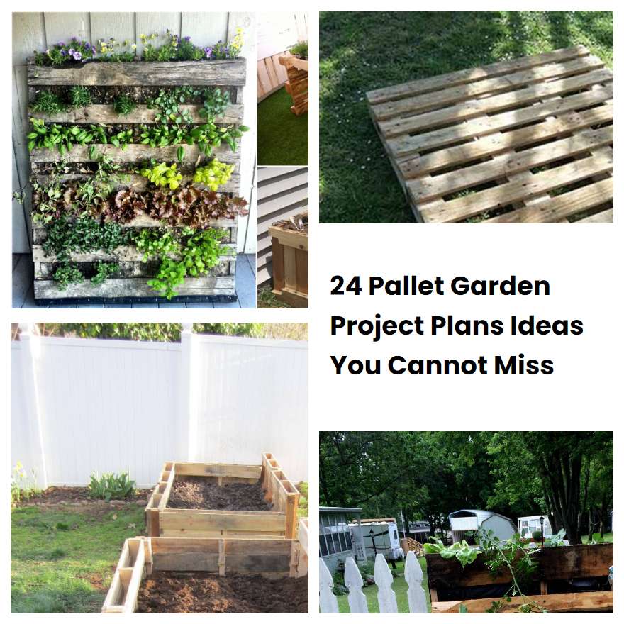 24 Pallet Garden Project Plans Ideas You Cannot Miss | SharonSable
