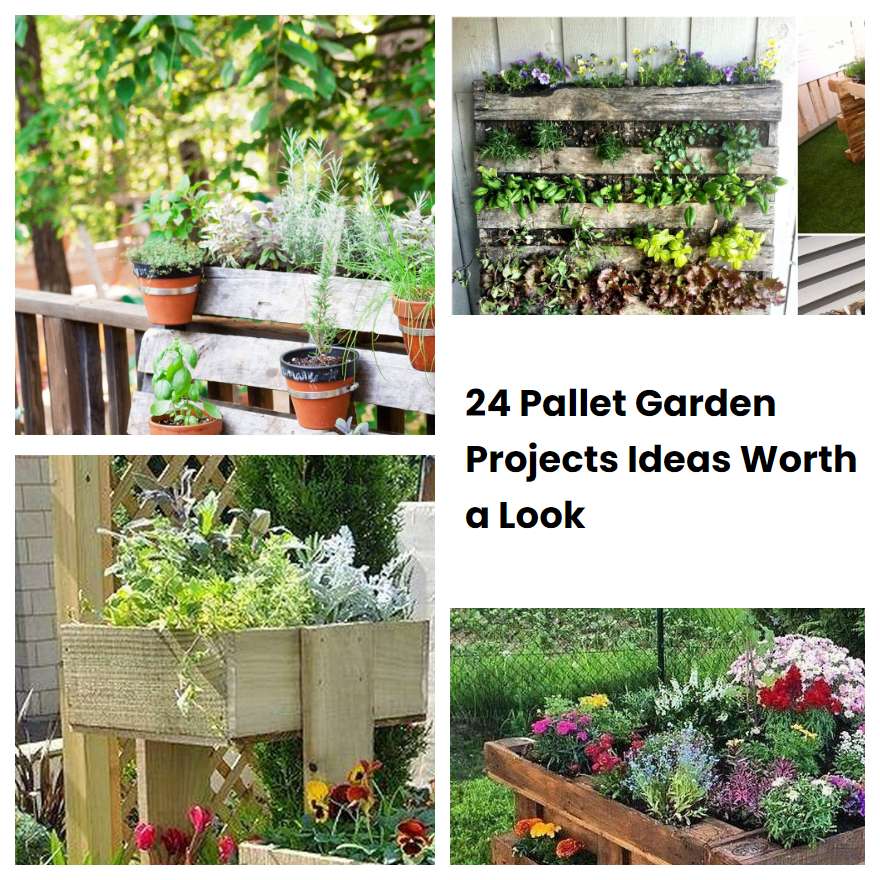 24 Pallet Garden Projects Ideas Worth a Look | SharonSable