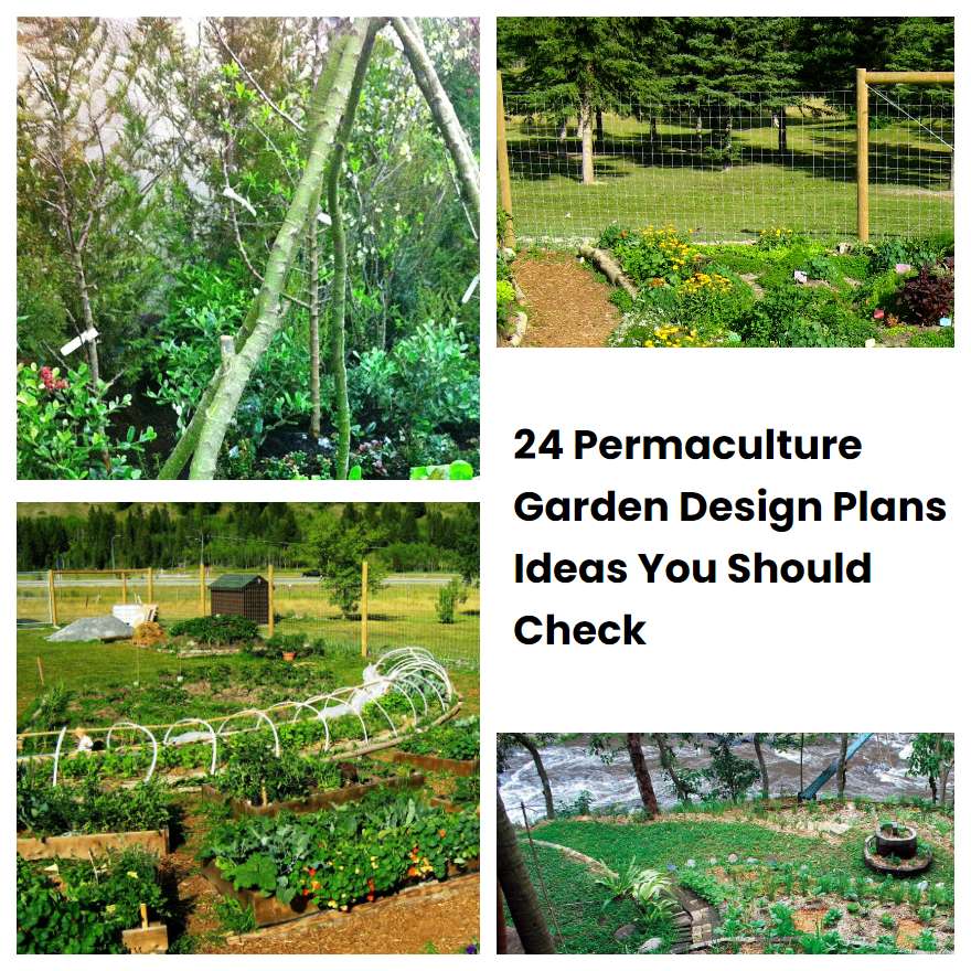 24 Permaculture Garden Design Plans Ideas You Should Check | SharonSable