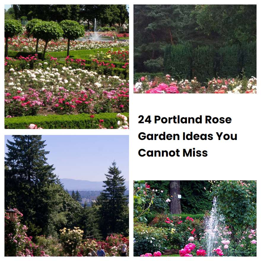 24 Portland Rose Garden Ideas You Cannot Miss | SharonSable