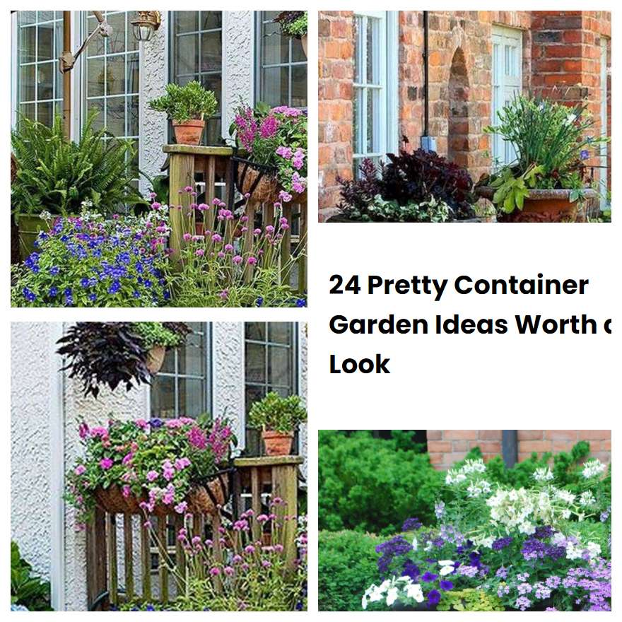 24 Pretty Container Garden Ideas Worth a Look | SharonSable