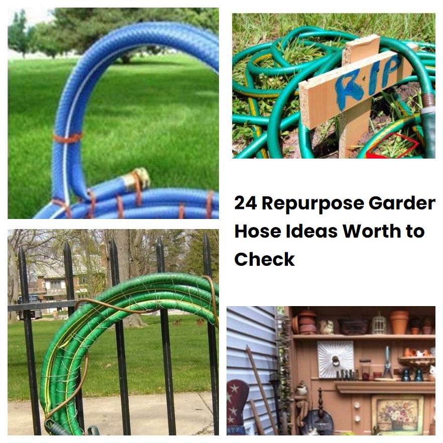 24 Repurpose Garden Hose Ideas Worth to Check | SharonSable