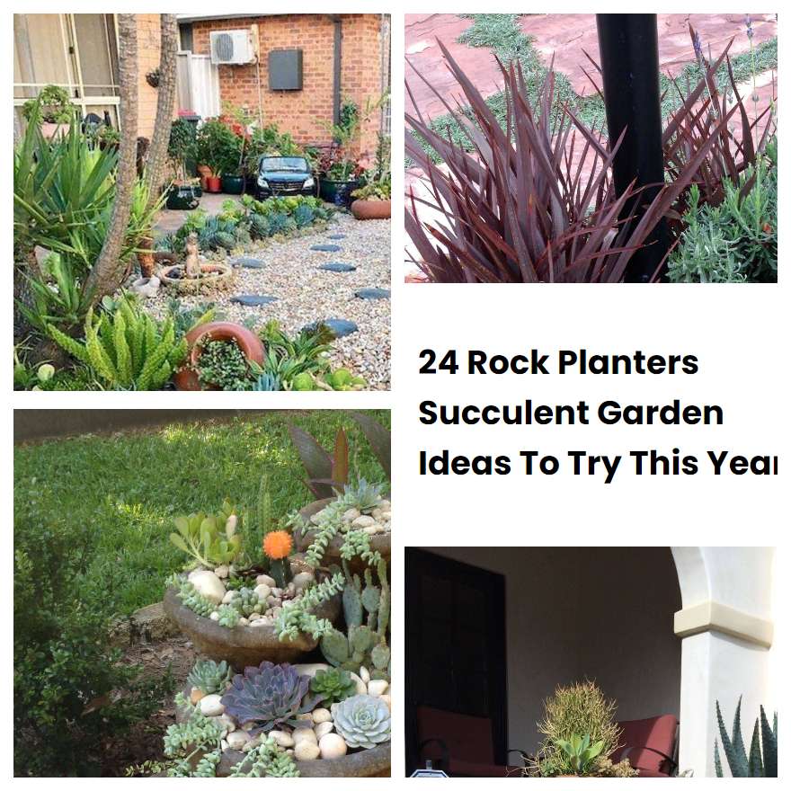 24 Rock Planters Succulent Garden Ideas To Try This Year | SharonSable