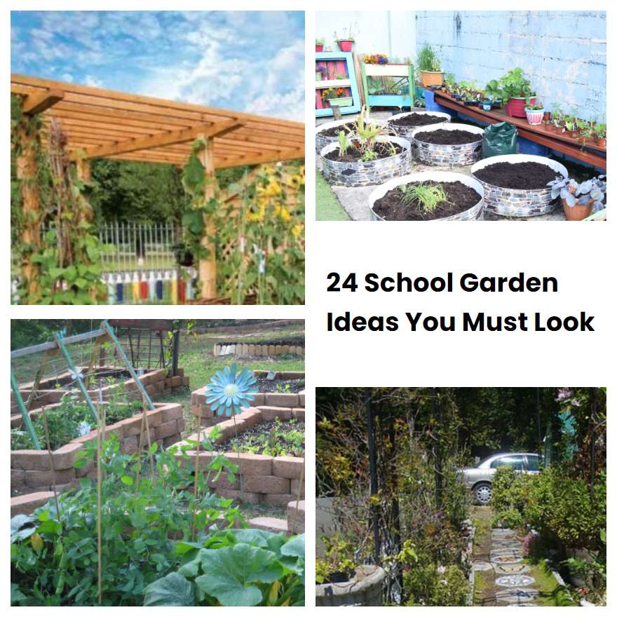 24 School Garden Ideas You Must Look | SharonSable