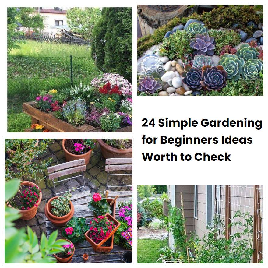 24 Simple Gardening for Beginners Ideas Worth to Check | SharonSable