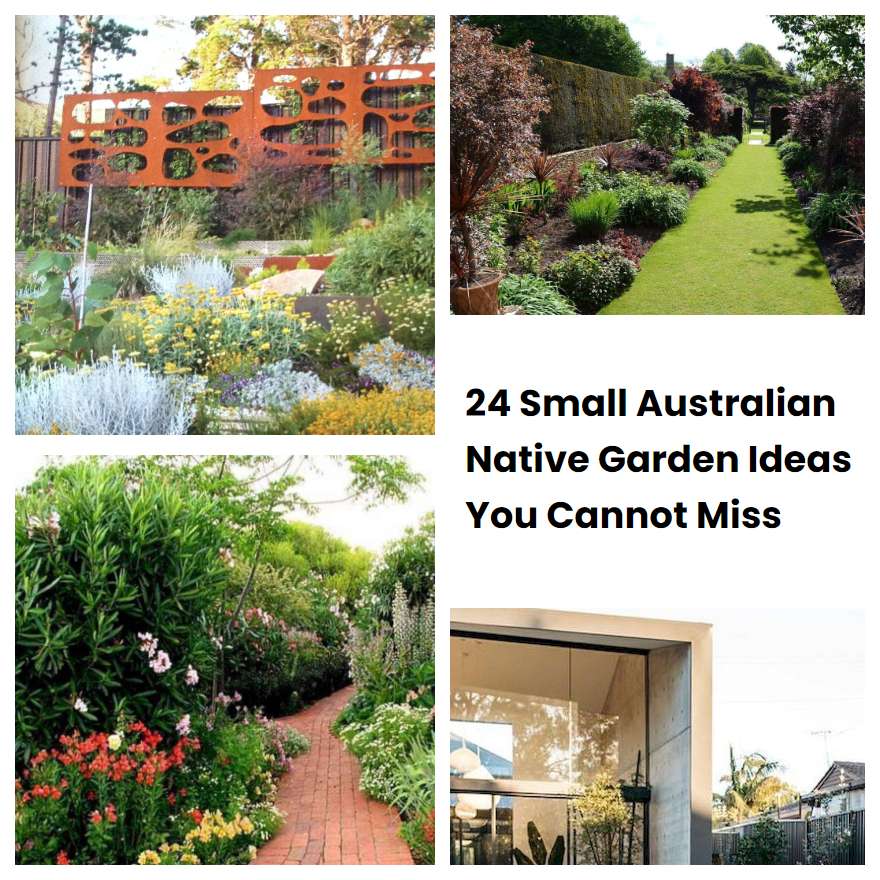 24 Small Australian Native Garden Ideas You Cannot Miss | SharonSable