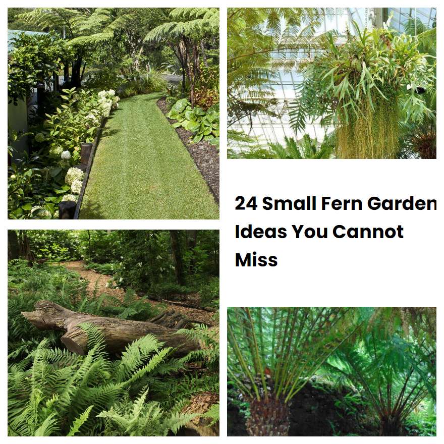 24 Small Fern Garden Ideas You Cannot Miss | SharonSable