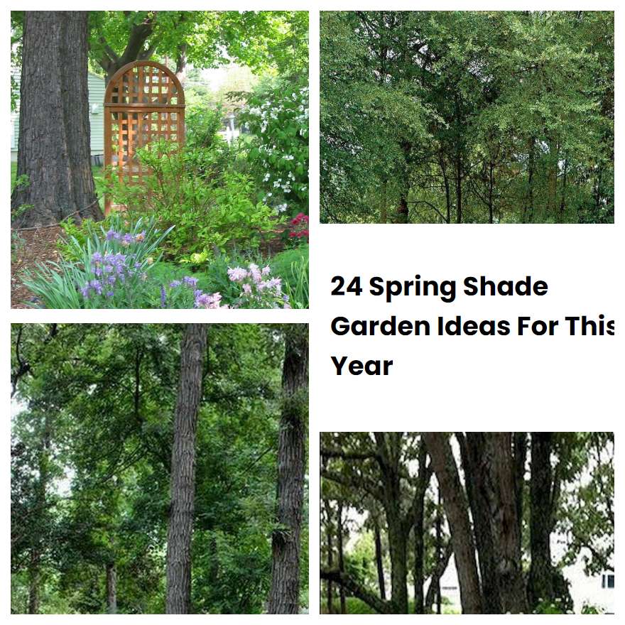 24 Spring Shade Garden Ideas For This Year | SharonSable