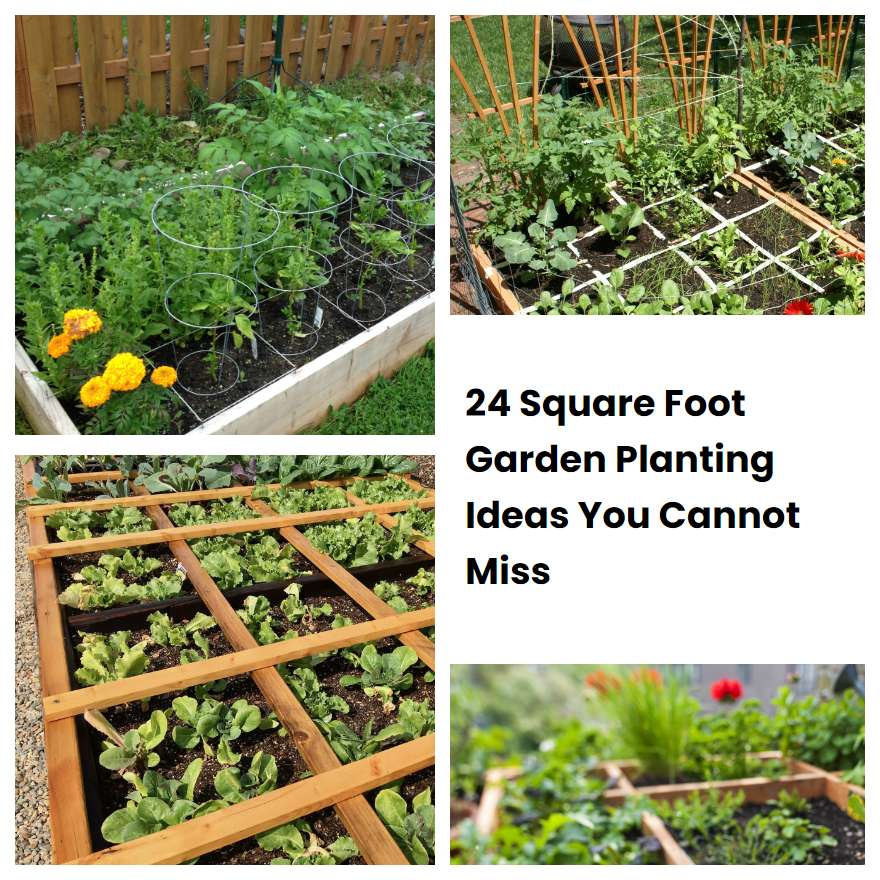 24 Square Foot Garden Planting Ideas You Cannot Miss | SharonSable