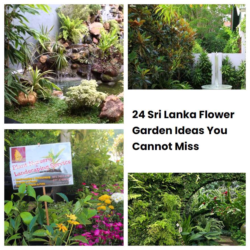 24 Sri Lanka Flower Garden Ideas You Cannot Miss | SharonSable