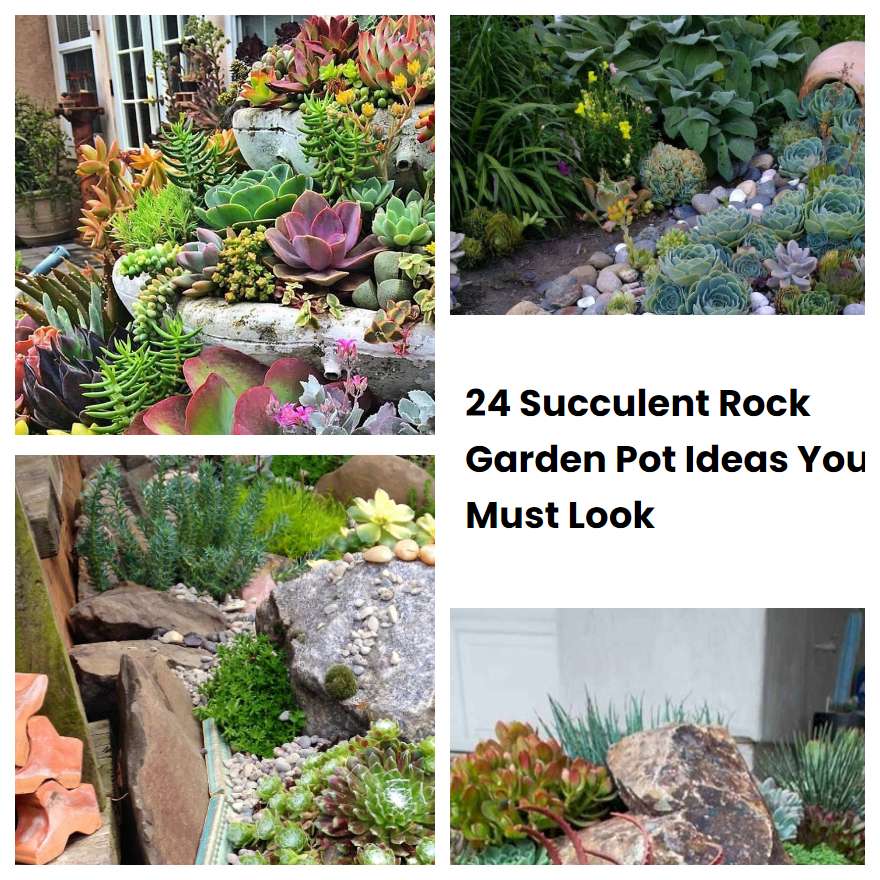 24 Succulent Rock Garden Pot Ideas You Must Look | SharonSable
