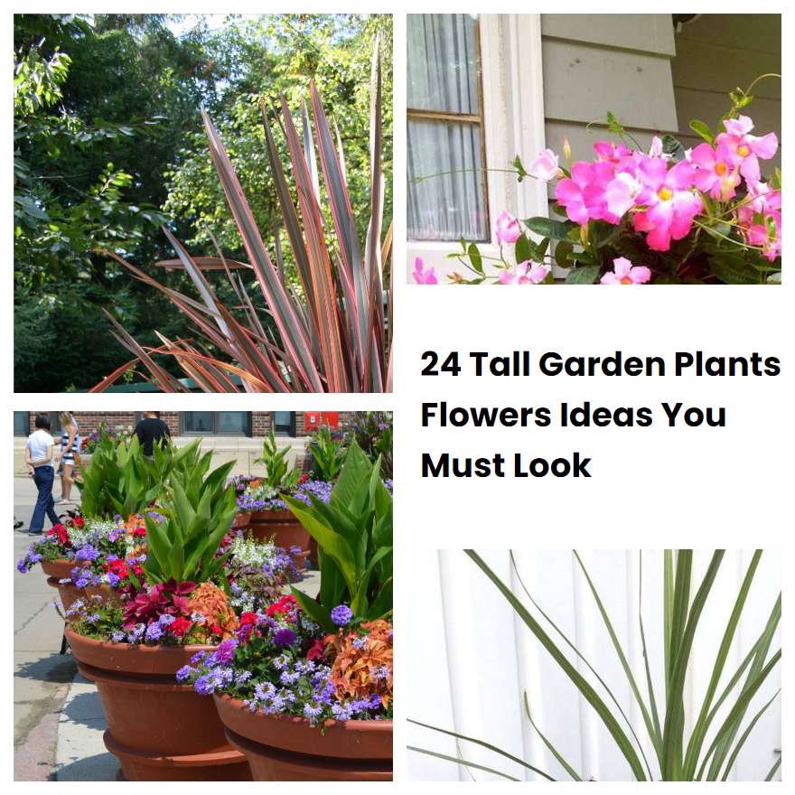 20 Curved Raised Garden Bed Ideas To Consider | SharonSable