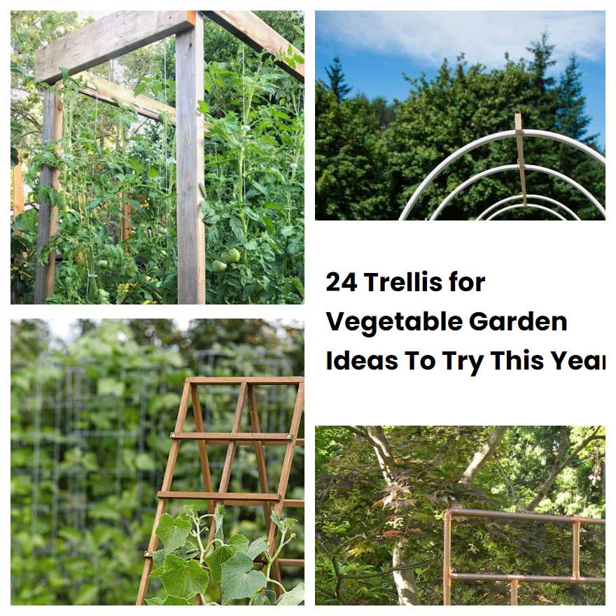 24 Trellis for Vegetable Garden Ideas To Try This Year | SharonSable
